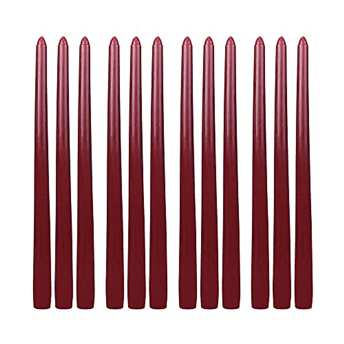 Zest Candle 12-Piece Taper Candles, 12-Inch, Burgundy