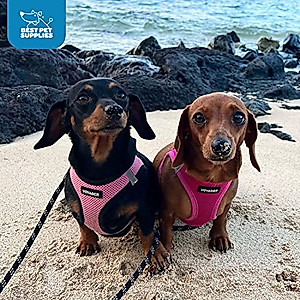 Voyager Step-in Air Dog Harness - All Weather Mesh Step in Vest Harness for Small and Medium Dogs by Best Pet Supplies - Harness (Fuchsia), Small