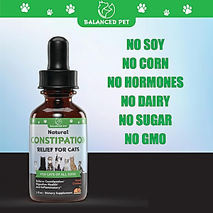 Natural Cat Constipation Relief :: Cat Laxative :: Cat Laxative Constipation Relief :: Constipation Relief for Cats :: Constipation Relief for Cat :: Cat Constipation :: 1 fl oz :: Chicken Flavor