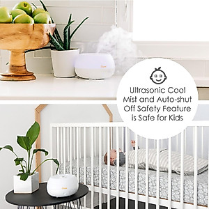 Crane Small Ultrasonic Diffuser and Air Humidifiers for Bedroom and Office, .2 Gallon Cool Mist Humidifier for Personal Use, No Humidifier Filters Needed, White