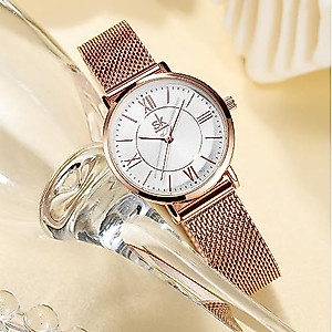 SHENGKE Minimalist Watch (Love Me Tender Love Me Home) Casual Fashion Wrist Watch Mesh Numerals Golden