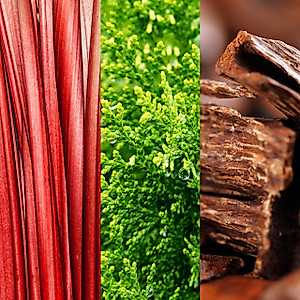 Joop! Go for Men Eau de Toilette Spray, 6.7 Ounce