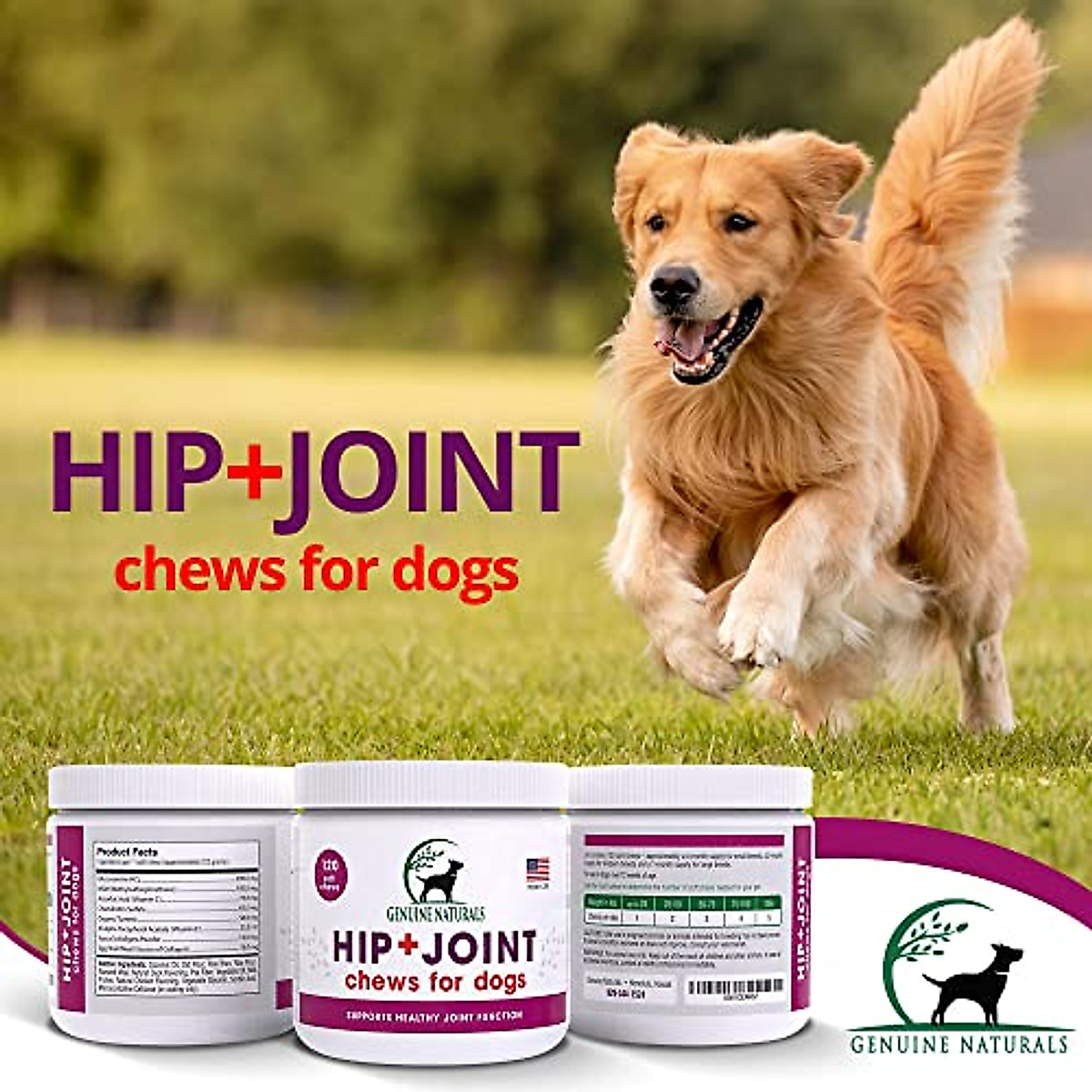 Genuine Naturals™ Hip and Joint Supplement for Dogs - Glucosamine Chondroitin, MSM, Organic Turmeric Soft Chews, Dog Vitamins, Supports Healthy Joint Function and Helps with Pain Relief,120 Count