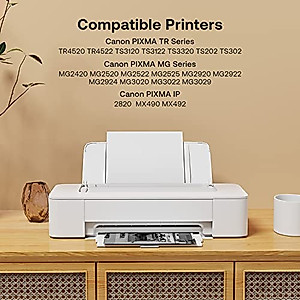 245XL Ink Cartridges for Canon PG-245 XL 2 Black Compatible for PIXMA MG2420 MG2520 MG2522 MG2525 MG2920 MG2922 MG2924 MG3020 MG3022 MG3029 TR4520 TR4522 TS3120 TS3122 TS3320 TS202 TS302 Printer