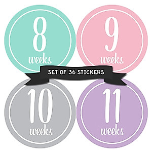 Months In Motion Pregnancy Weekly Belly Growth Stickers Pregnant Expecting Maternity Keepsake - Baby Bump - Large Set of 36 Weekly Photo Sticker