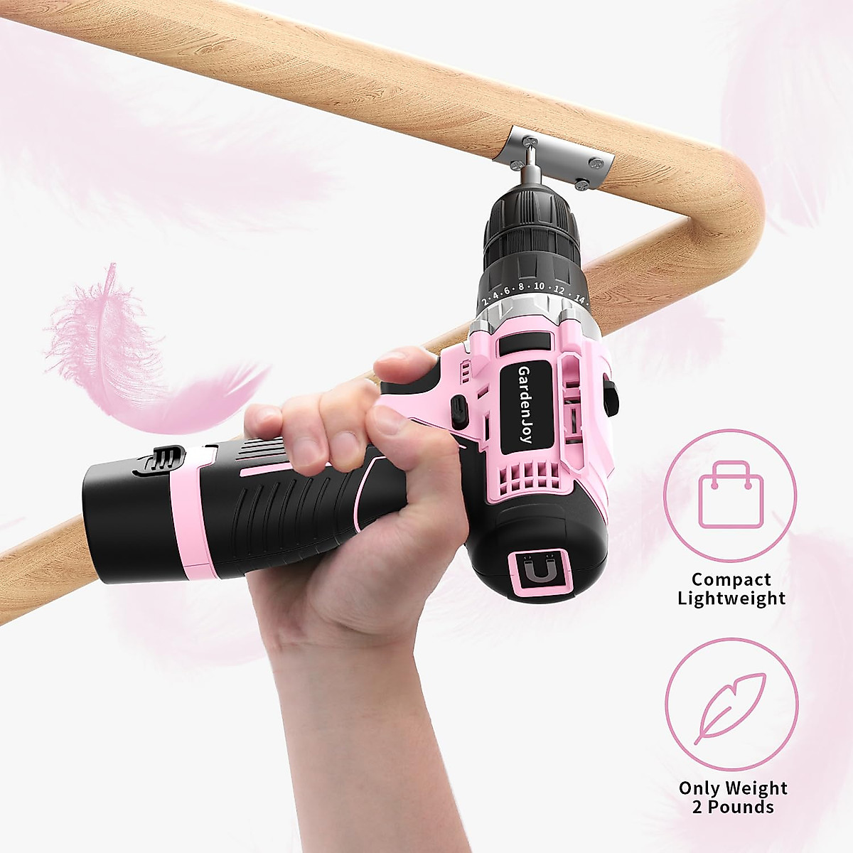 GardenJoy Cordless Power Drill Set: 12V Electric Drill with Battery and Charger, 2 Variable Speed, 24+1 Torque Setting, 3/8-Inch Keyless Chuck, Portable Drill and 30pcs Drill/Driver Bits