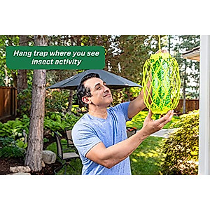 RESCUE! TrapStik for Wasps, Mud Daubers, Carpenter Bees - 3 Pack