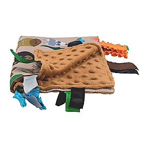 Baby Sensory, Security & Teething Closed Ribbon Tag Lovey Blanket with Minky Dot Fabric: 14”X18” (Forest)