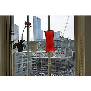 LaBrinx Designs Extra Large Suction Cup Shelf - Live Plants, Windows, and Bathrooms