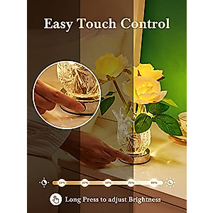 One Fire Flower Lamp Touch Lamp, Dimmable Table Lamp Rose Lamp, Rechargeable Cordless Lamp, Artificial Flower Lamp with Glass Vase, Small Lamp for Bedroom Bedroom Living Room, Birthday Gifts for Her