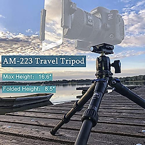 SIRUI AM-223 Carbon Fiber Camera Tripod Mini Travel Compact Tripod with 360° B-00K Ball Head, Arca Swiss Quick Release Plate, Loads up 15KG, Max Height 16", Folded Height 12.1"