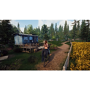 Windstorm: Start of a Great Friendship (PS4)