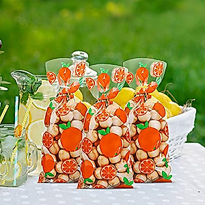 Willbond 100 Pieces Cellophane Treat Bags Little Cutie Treat Bags Little Cutie Party Favor Bags Plastic Cello Bags Cellophane Bags with 100 Pieces Twist Ties for Little Cutie Baby Shower Decorations