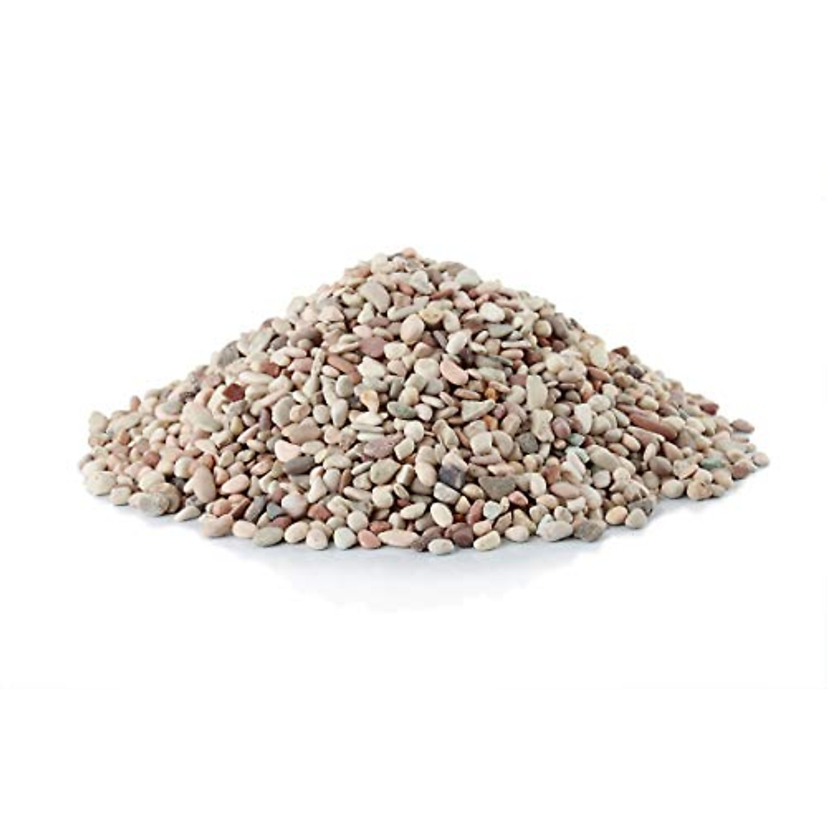 Succulent Cactus Seed DIY Terrarium Germination Starter Kit for Indoor Garden Growing - Mini Terrarium Kit with Seeds, Soil, Rocks, Moss, Pea Gravel, Activated Charcoal, and Burlap Potting Planters