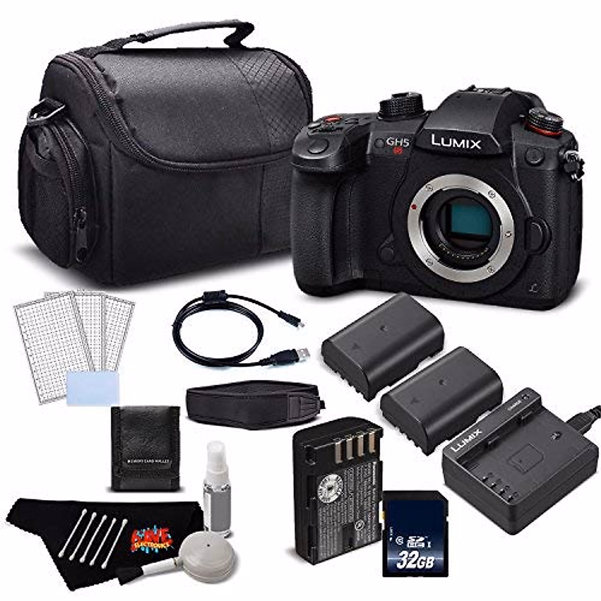 Panasonic Lumix DC-GH5S Mirrorless Micro Four Thirds Digital Camera DC-GH5S - Gold + Level Bundle