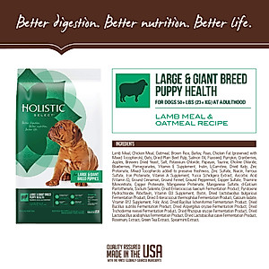 Holistic Select Natural Dry Dog Food, Large & Giant Breed Puppy Recipe, 30-Pound Bag