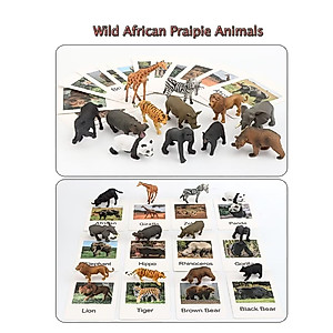 Montessori Animal Match Game Cards Marine Animal Matching Montessori Language Materials Toddlers Preschool Educational Learning Toys Language Materials Shape Sorting Toy