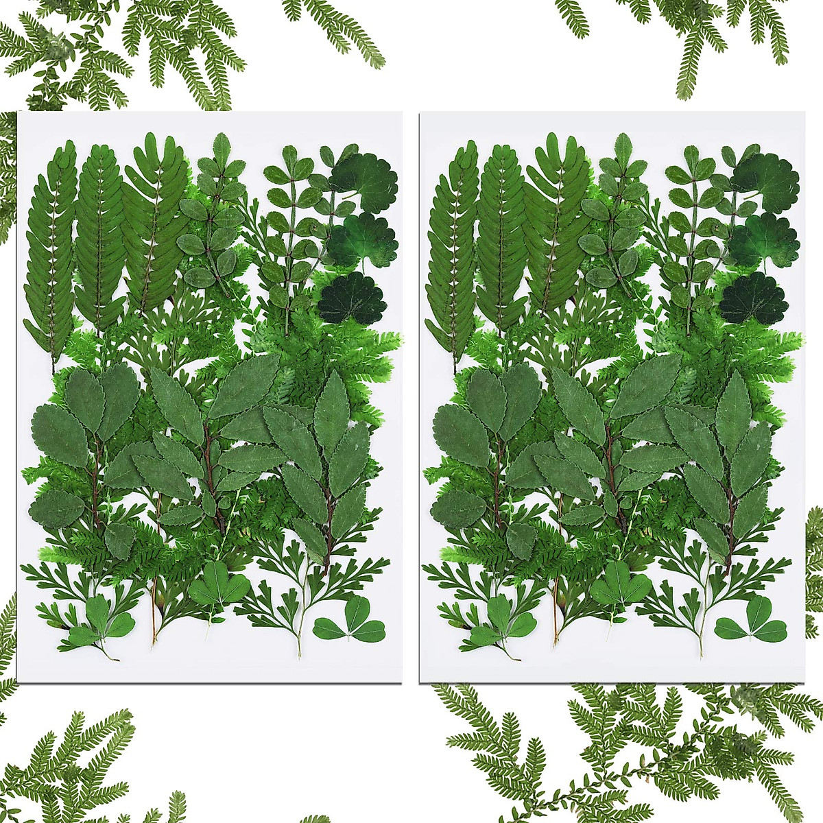 42 Pieces Dried Pressed Leaves Dried Flowers for Resin Real Assorted Dried Greenery for Pressed Leaf Art Craft DIY Embellishment Decorations, 7 Styles