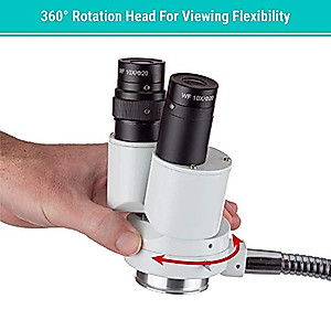 AmScope - 8X Binocular Stereo Microscope w/ 360 Revolve + 8W Fluorescent Ring Light - Gooseneck Illuminator Set for Dental, Lab, Electronic Repairs - SE508-FRL