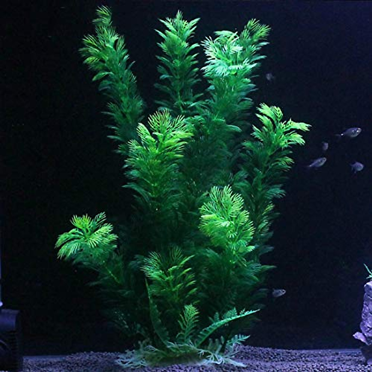Hamiledyi Aquarium Plants Plastic Decor Fish Tank Green Decorations Plants Ornament Safe for All Fish,Extra Large 23-inch Tall, 2 Pack   