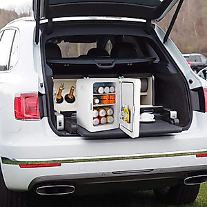 Nictemaw Mini Fridge Electric Cooler and Warmer, Mini Fridge with LCD Display and Digital Thermostat, Single Door Portable Makeup Skincare Fridge for Cars, Road Trips, Homes, Offices & Dorms