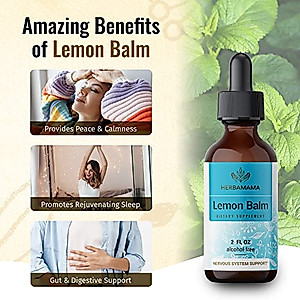 HERBAMAMA Lemon Balm Tincture - Organic Lemon Balm Herb Drops - Melissa Officinalis Liquid Extract - Vegan, Alcohol-Free - 2 fl oz