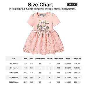 Care Bears Baby Girl Cotton Short-Sleeve Bear Print Spliced Embroidered Mesh Dress incarnadinepink 3-6 Months
