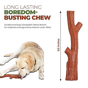 SPOT Bam-bones PLUS Branch -Bamboo Fiber & Nylon, Durable Long Lasting Dog Chew for Aggressive Chewers – Great Toy for Adult Dogs & Teething Puppies under 90lbs, Non-Splintering, 9.5in, Beef Flavor