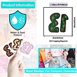 Tuoshei 30 Pcs Eras Tour Merch,13 Temporary Tattoo,13 Tattoo, Hand Tattoo, Eras Tour Accessories, Concert Accessories for Swifties Gifts