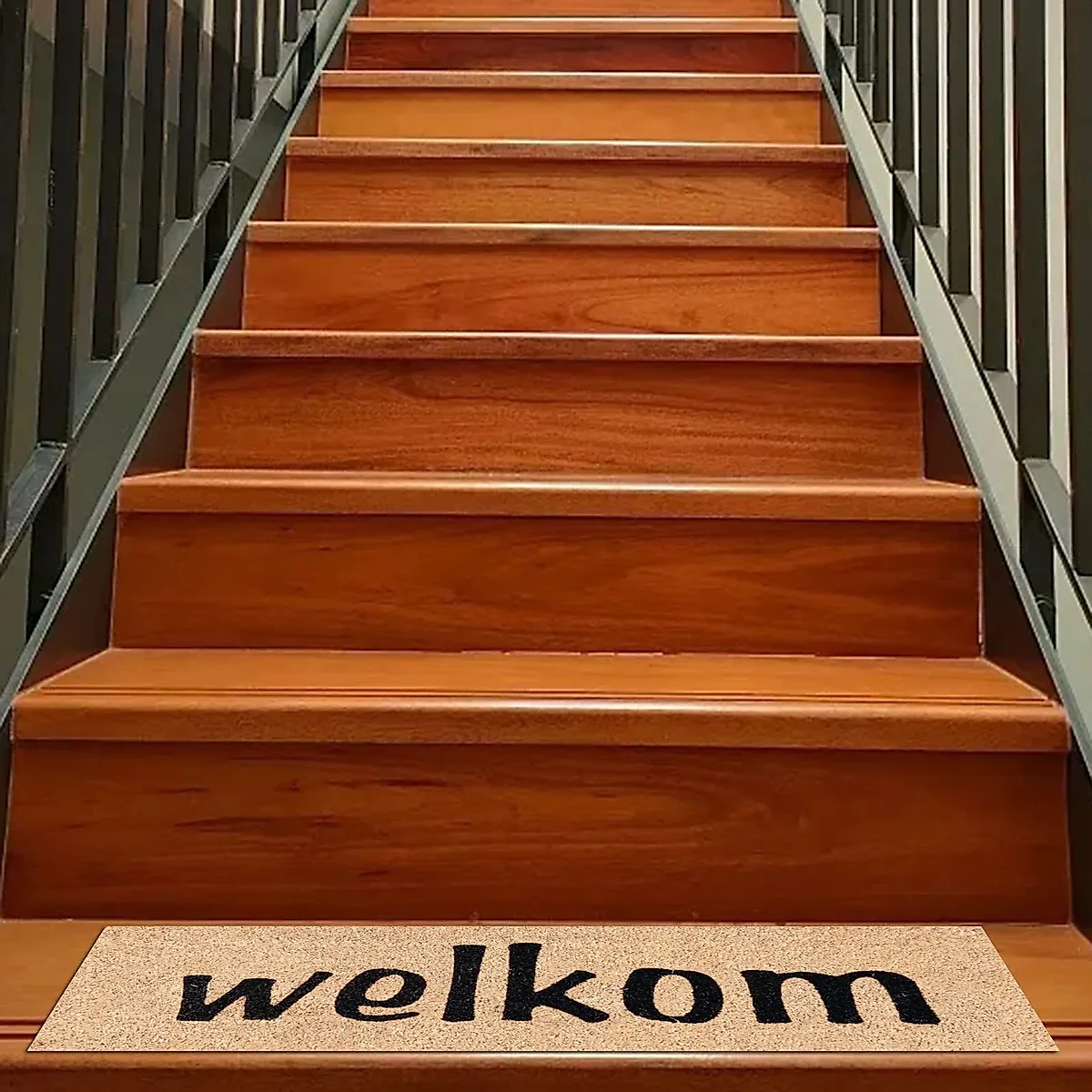 TUNKENCE Welcome Mats Indoor Doormats Front Door Mat Outdoor Entrance Funny Welcome Skinny Mat Farmhouse Decor Playhouse Mat Narrow DoormatsStair Mat Welcome Mat, 6x24Inch