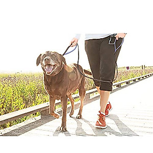 rabbitgoo Dog Leash 6ft Long, Heavy Duty Leash with 2 Padded Traffic Handles, Hands Free Leash for Control Safety Training, Reflective Walking Lead for Small, Medium, Large Dogs