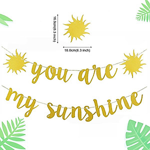 Morndew 2 Set Gold Glitter You are My Sunshine Banner for Kids Theme Birthday Party Gender Reveal Party Baby Shower Bunting Decorations