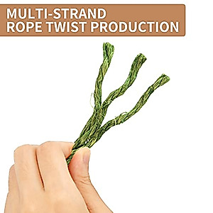 Green Natural Sisal Rope 1/4 Inch 6mm 98-Feet for Cat Scratching Post Tree Tower Replacement Repair and Replace, DIY Hemp Twine Rope for Cat Scratching Furniture Window Perch and Crafts Gardening