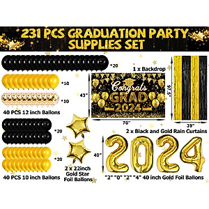 231PCS Graduation Decorations Class Of 2024, 2024 Graduation Party Decorations for High School College With Backdrop balloons Paper Plate Cup Napkin Cutlery Tablecloth Balloon Garland (Black and Gold)