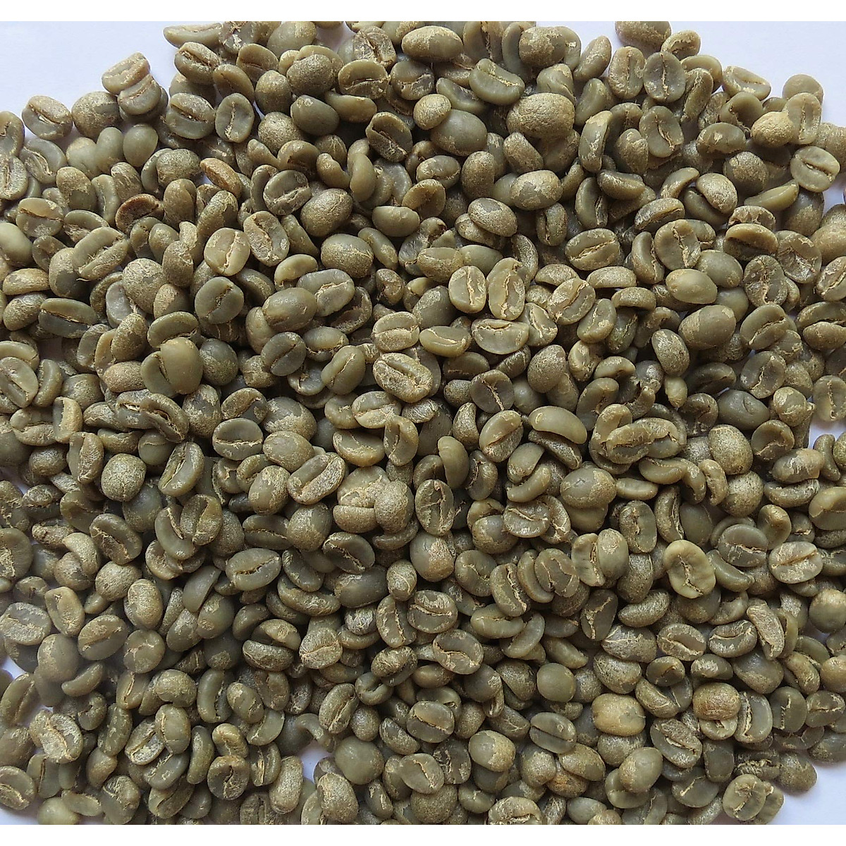 3 Lb, Single Origin Unroasted Green Coffee Beans, Specialty Grade From Single Nicaraguan Estate, Direct Trade (Caturra Varietal)