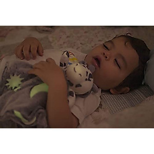 Believe BigDreams Giraffe Lovey Blanket - Grey Baby Security Blankets for Girls - Polyester Baby Boy Security Blanket Lovies for Babies Glows in The Dark Stuffed Blanket Animal