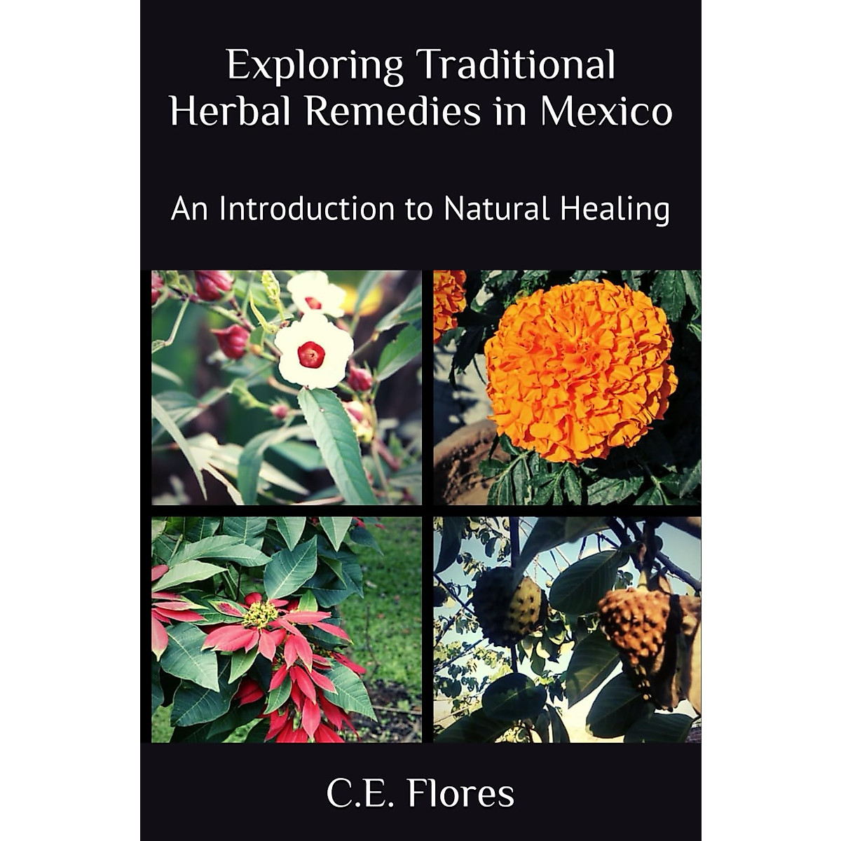 Exploring Traditional Herbal Remedies in Mexico