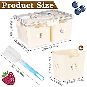 PYQTH Fruit Storage Containers for Fridge, Portable Divided Food Storage Containers with Lid and Handle, BPA-Free Saver Refrigerator Food Organizer Bins with 1 Brush for Veggies Fruit, 4 Compartments