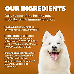 Protexin Daily Care Gut+ Wellness, 60 probiotic and postbiotic Dog Supplement Chews – Duck and Carrot Flavored