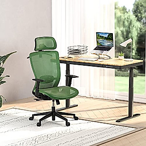 FLEXISPOT Office Chair Home Office Desk Chairs with Wheels Computer Chair with Lumbar Support Swivel Headrest Green