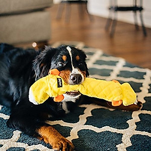 ZippyPaws Jigglerz - Dog Squeaky Toys to Keep Them Busy, Funny Food Plush for Small, Medium, & Large Dogs, Cute Stuffed Puppy Toy, Pet Product, Gift for All Breeds, Interactive Squeaker - Duck