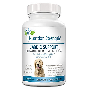 Nutrition Strength Cardio Support for Dogs Plus Antioxidant, L-Carnitine, L-Taurine, with Coenzyme Q10 and Vitamin E, Promotes a Healthy and Strong Dog Heart, 120 Chewable Tablets
