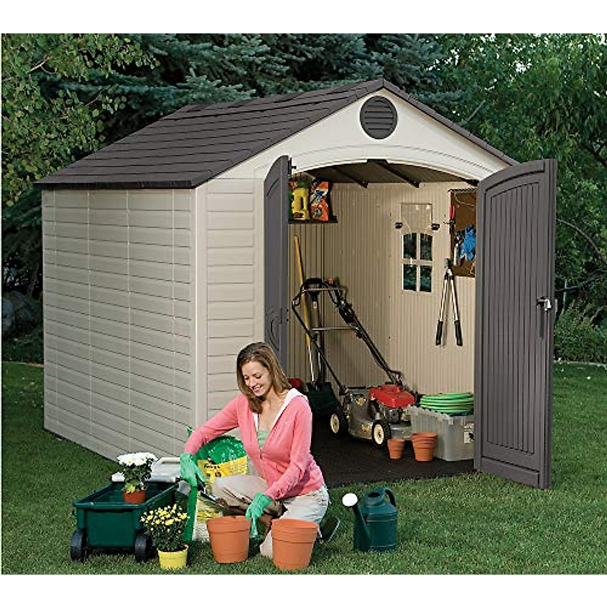 Lifetime 6405 Outdoor Storage Shed with Window, Skylights, and Shelving, 8 by 10 Feet
