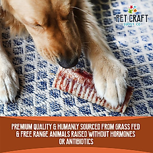 Pet Craft Supply All Natural Healthy Buffalo Trachea Bones Dog Chews Treats for Aggressive Chewers Long Lasting Rawhide Free Premium Slow Roasted for Puppies Small Medium Large Dogs 6 Pack