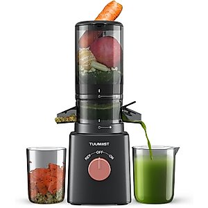 Juicer Machines, TUUMIIST Cold Press Juicer with 4.25'' Large Feed Chute Fit Whole Vegetable And Fruit, Masticating Juicer Easy To Clean, Gun Grey