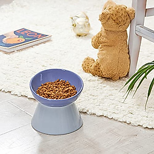 Y YHY Raised Cat Food Bowl, Tilted Elevated Cat Bowl 6 Inch Anti Vomiting for Food and Water Orthopedic Cat Bowls for Flat Faced Cats, Small Dogs, Protect Pet's Spine