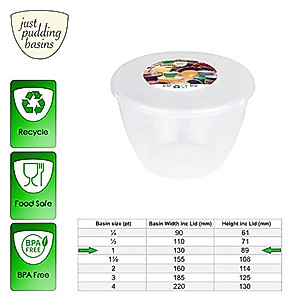 20 fl oz Pudding Mold and Lid Clear Reusable Food Safe Plastic Steam Pudding Bowls (4 pack)