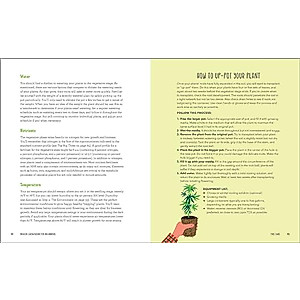 Indoor Grow Room for Beginners: A Step-By-Step Guide to Growing Marijuana