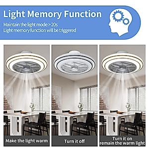 XuanDe Ceiling Fans with Lights and Remote Quiet, 20" Enclosed Ceiling Fans Modern Low Profile DC Motor 6 Gear Wind Speeds 3 Colors of Lights-Silver