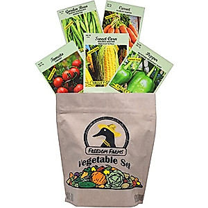 Set of 43 Assorted Vegetable & Herb Seed Packets - Over 10,000 Seeds! - Includes Mylar Storage Bag - Deluxe Garden Heirloom Seeds - 100% Non-GMO